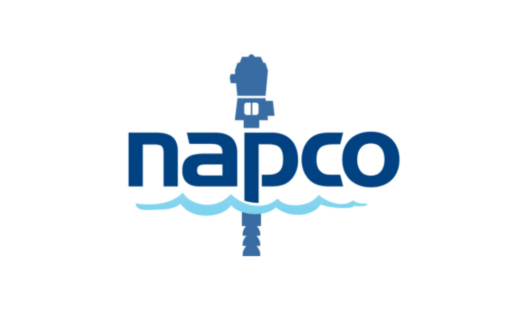 Napco Logo Napco GEM P1664 Keybus Configuration